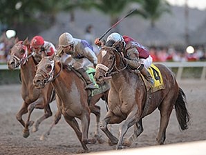 Catholic Cowboy - Horse Profile - BloodHorse