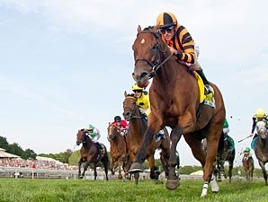 Little Mike - Horse Profile - BloodHorse