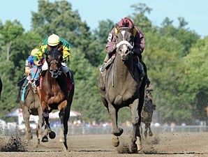 Jackson Bend - Horse Profile - BloodHorse