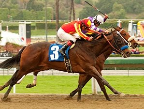 Drill Part of Danzig Revival - BloodHorse