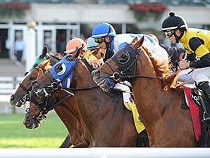 Ring Weekend - Horse Profile - BloodHorse