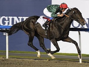 Mendip - Horse Profile - BloodHorse
