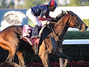 Tonalist - Horse Profile - BloodHorse