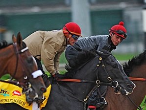 Archarcharch - Horse Profile - BloodHorse