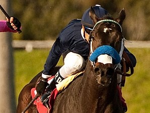 Handsome Mike - Horse Profile - BloodHorse