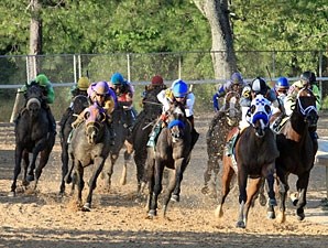 Archarcharch - Horse Profile - BloodHorse
