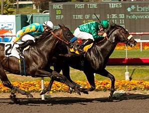 Morning Line - Horse Profile - BloodHorse