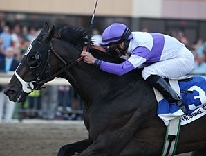 Handsome Mike - Horse Profile - BloodHorse