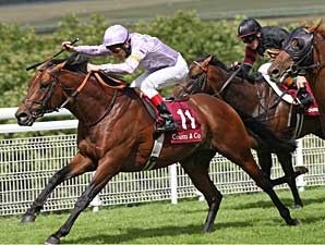 Sixties Icon (GB) - Horse Profile - BloodHorse