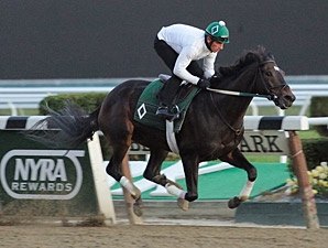 Royal Delta Sizzles in Final Distaff Workout - BloodHorse