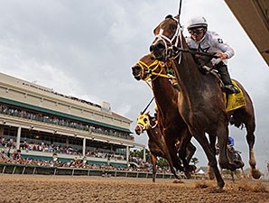 Constitution - Horse Profile - BloodHorse