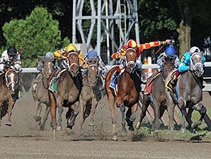 Cavorting - Horse Profile - BloodHorse