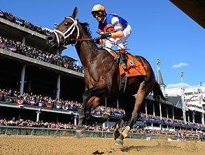 Uncle Mo - Horse Profile - BloodHorse