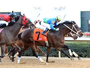 Native Ruler - Horse Profile - BloodHorse