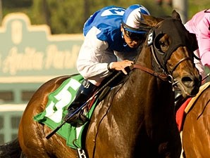 In Summation - Horse Profile - BloodHorse