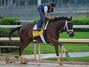 Uncle Mo - Horse Profile - BloodHorse
