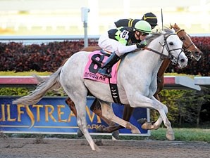 Honorable Dillon - Horse Profile - BloodHorse