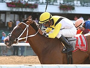 Stormy Novel - Horse Profile - BloodHorse