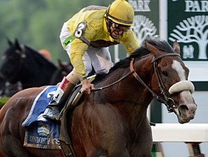 Union Rags - Horse Profile - BloodHorse