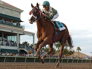 This Ones for Phil - Horse Profile - BloodHorse