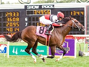 Mr. Nightlinger - Horse Profile - BloodHorse