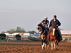 Oxbow - Horse Profile - BloodHorse