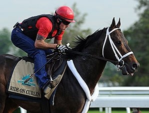 Ride On Curlin - Horse Profile - BloodHorse
