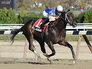 Calibrachoa - Horse Profile - BloodHorse