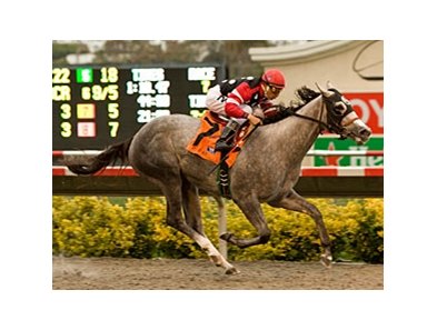 Freshman Sires Starting Fast - BloodHorse