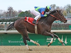 Native Ruler - Horse Profile - BloodHorse