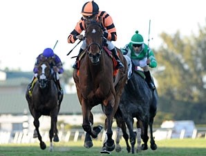 Little Mike - Horse Profile - BloodHorse