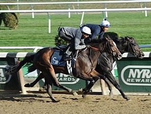 Summer Applause - Horse Profile - BloodHorse