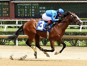 Rise Up - Horse Profile - BloodHorse