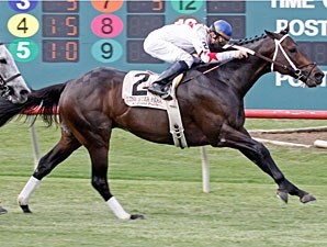 Baltimore Bob - Horse Profile - BloodHorse