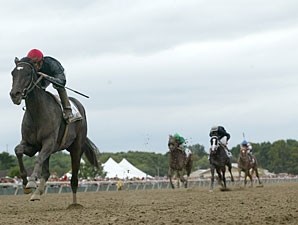 Gone Astray - Horse Profile - BloodHorse
