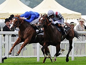 Dawn Approach (IRE) - Horse Profile - BloodHorse