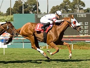 Pure Clan - Horse Profile - BloodHorse