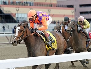 Summer Applause - Horse Profile - BloodHorse