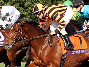 Little Mike - Horse Profile - BloodHorse