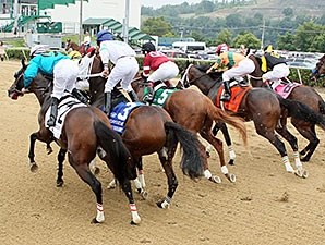 Tapiture - Horse Profile - BloodHorse