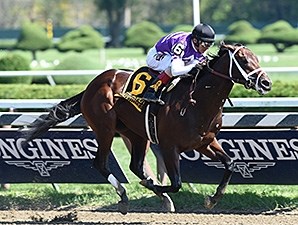 Competitive Edge - Horse Profile - BloodHorse