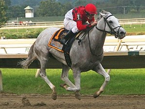 Careless Jewel - Horse Profile - BloodHorse