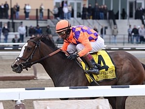 Summer Applause - Horse Profile - BloodHorse