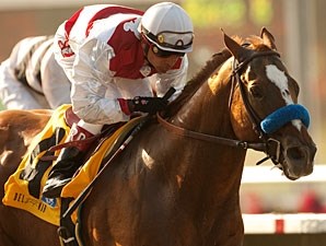 Euroears - Horse Profile - BloodHorse