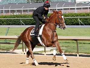 Dullahan - Horse Profile - BloodHorse