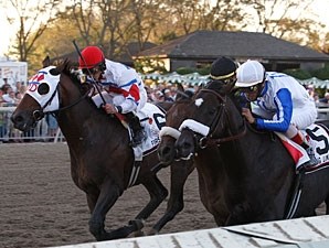 Morning Line - Horse Profile - BloodHorse