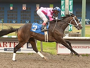 Title Contender - Horse Profile - BloodHorse
