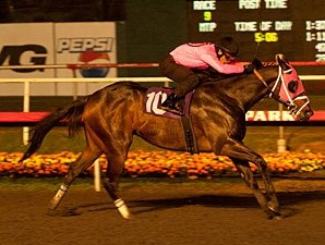 Welcome to the Top, Indian Charlie - BloodHorse