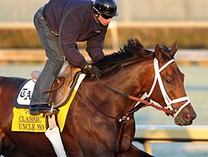 Uncle Mo - Horse Profile - BloodHorse