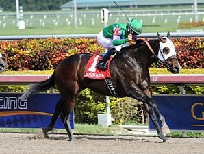Merit Man Shows Class in Spectacular Bid - BloodHorse
